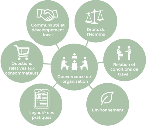 Comment piloter sa démarche RSE ? | Colibri communication